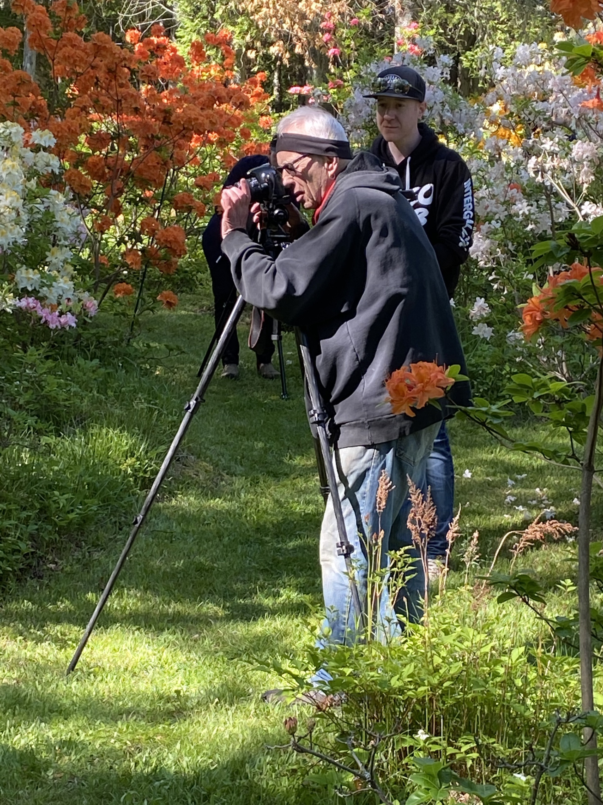 SHMF Signature Grant to Unfoldng Pictures Inc for Freeman Patterson ...